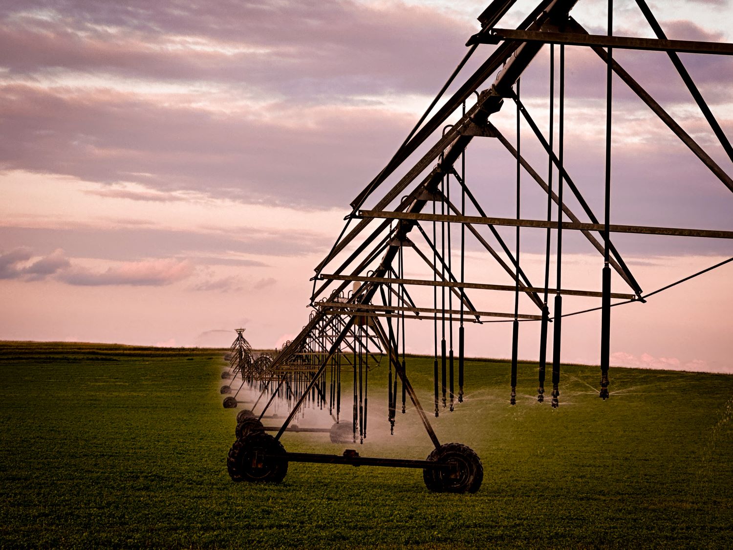 About Us - Precision Insurance